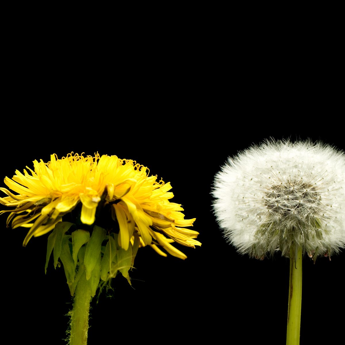 When to Disqualify Leads – LeadPoint.com